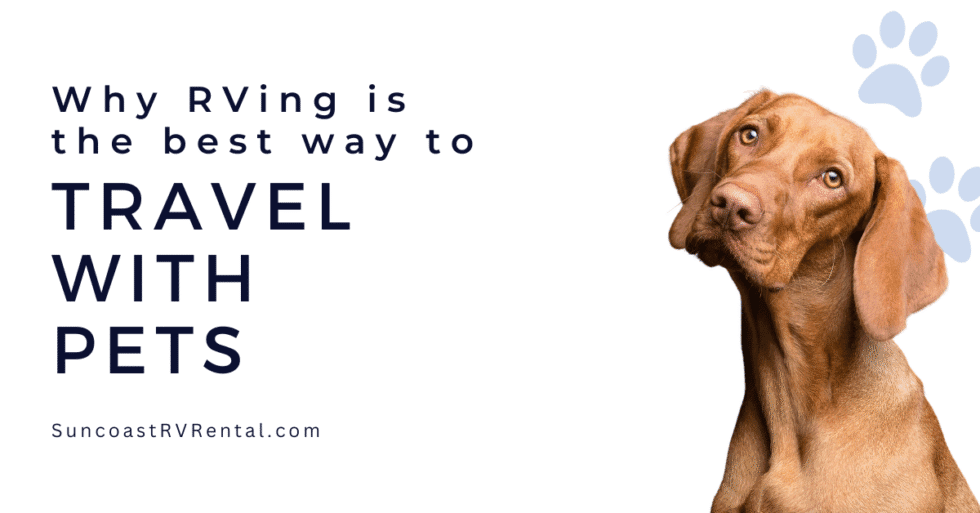 Why RVing is the Best Way to Travel with Pets - Suncoast RV Rental
